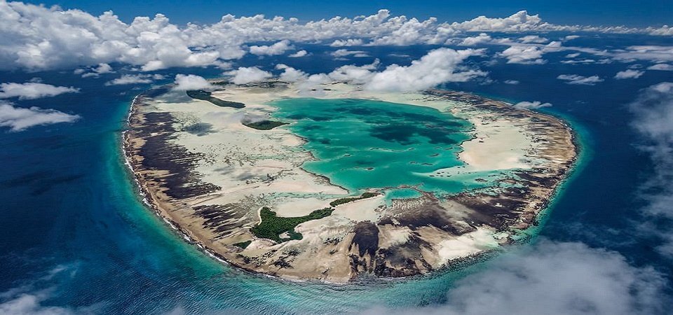 Aldabra guidaseychelles.it